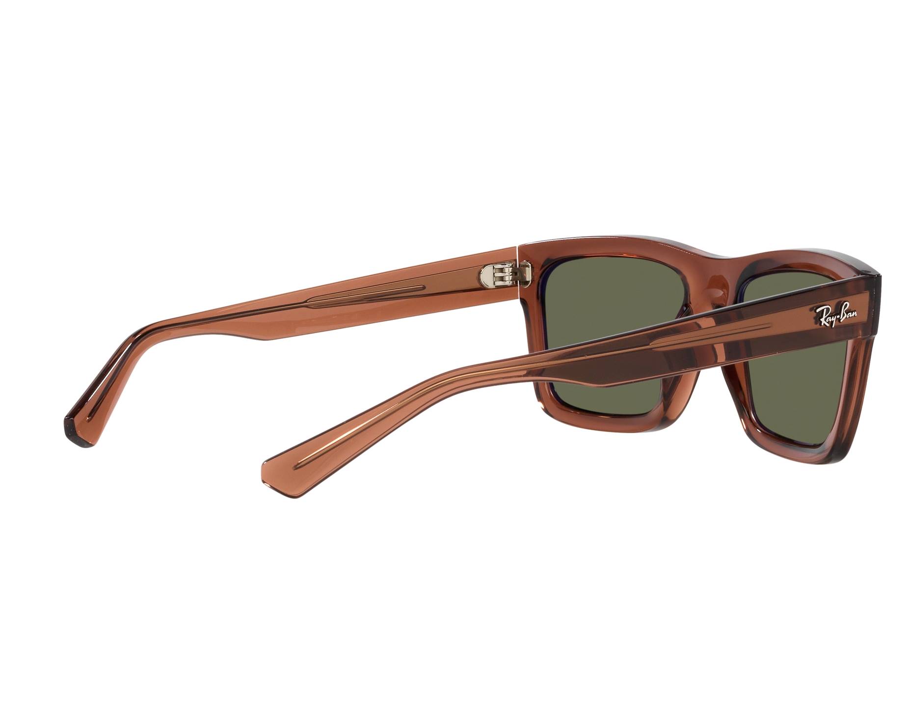 Gafas de Sol Ray-Ban Warren RB4396 66789A